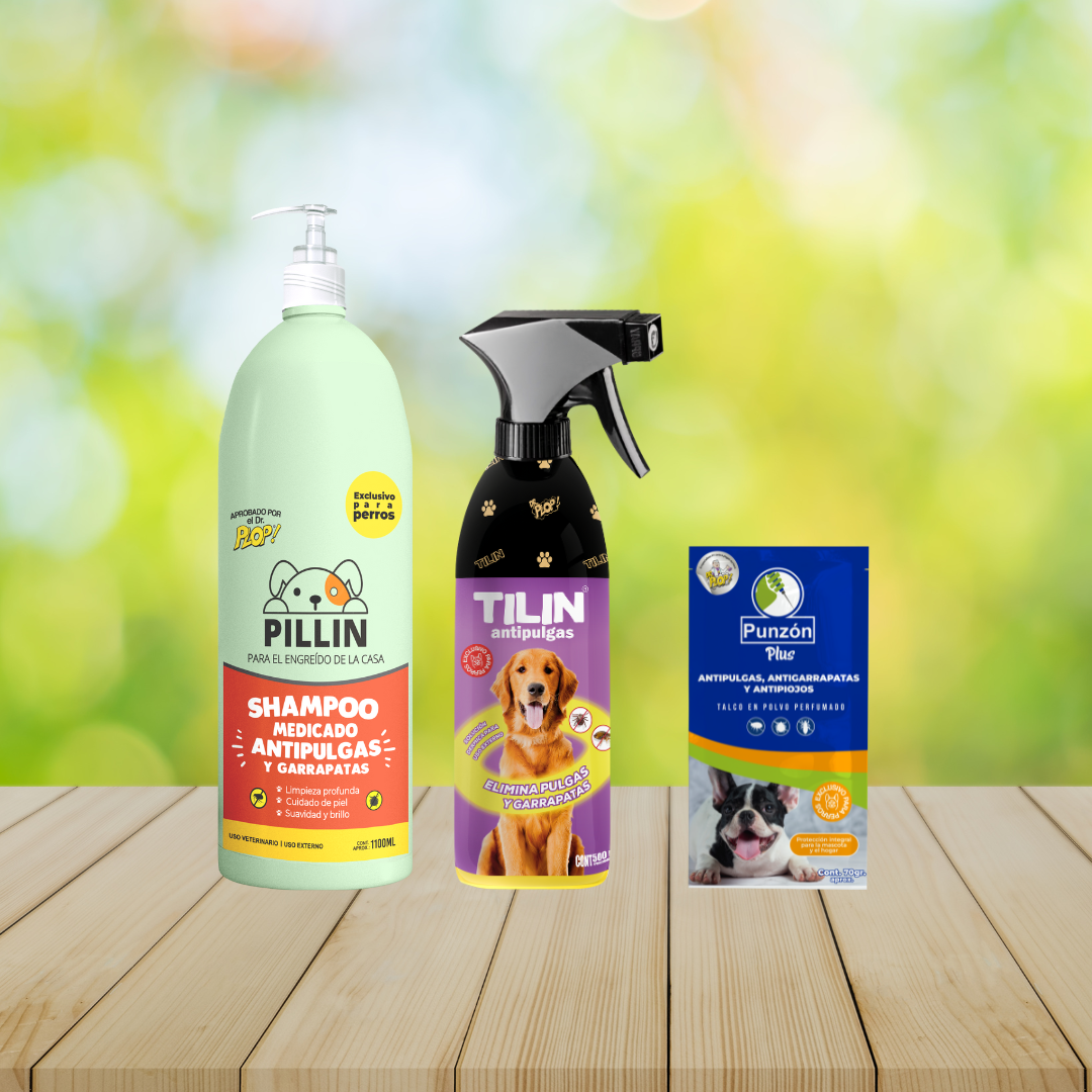 Protección Completa 2 – Deliveryplop